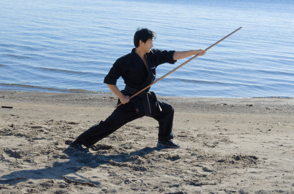 Private Martial Arts Bo Staff Lessons Private Martial Arts Bo Staff Lessons